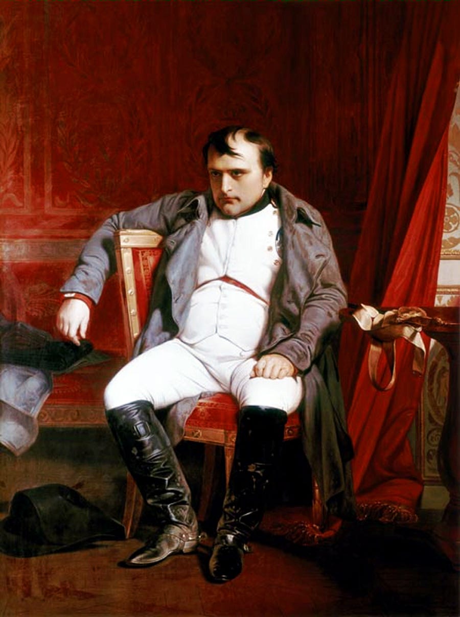 Napoleon: a biography through the propaganda paintings