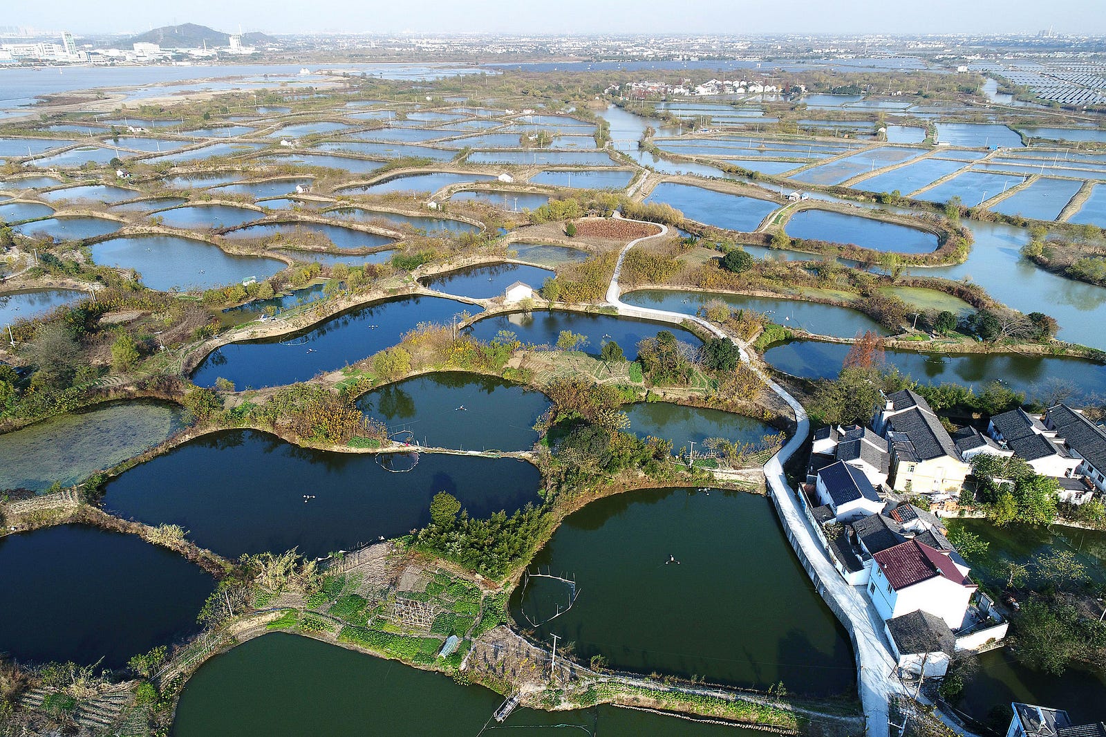 UN designates four Chinese farmlands as agricultural heritage sites