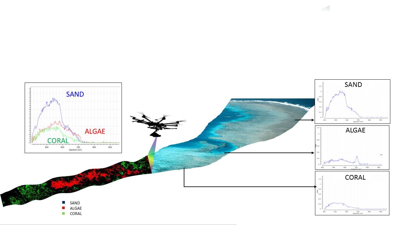 Drones, smart cameras and machine learning for remote environmental ...