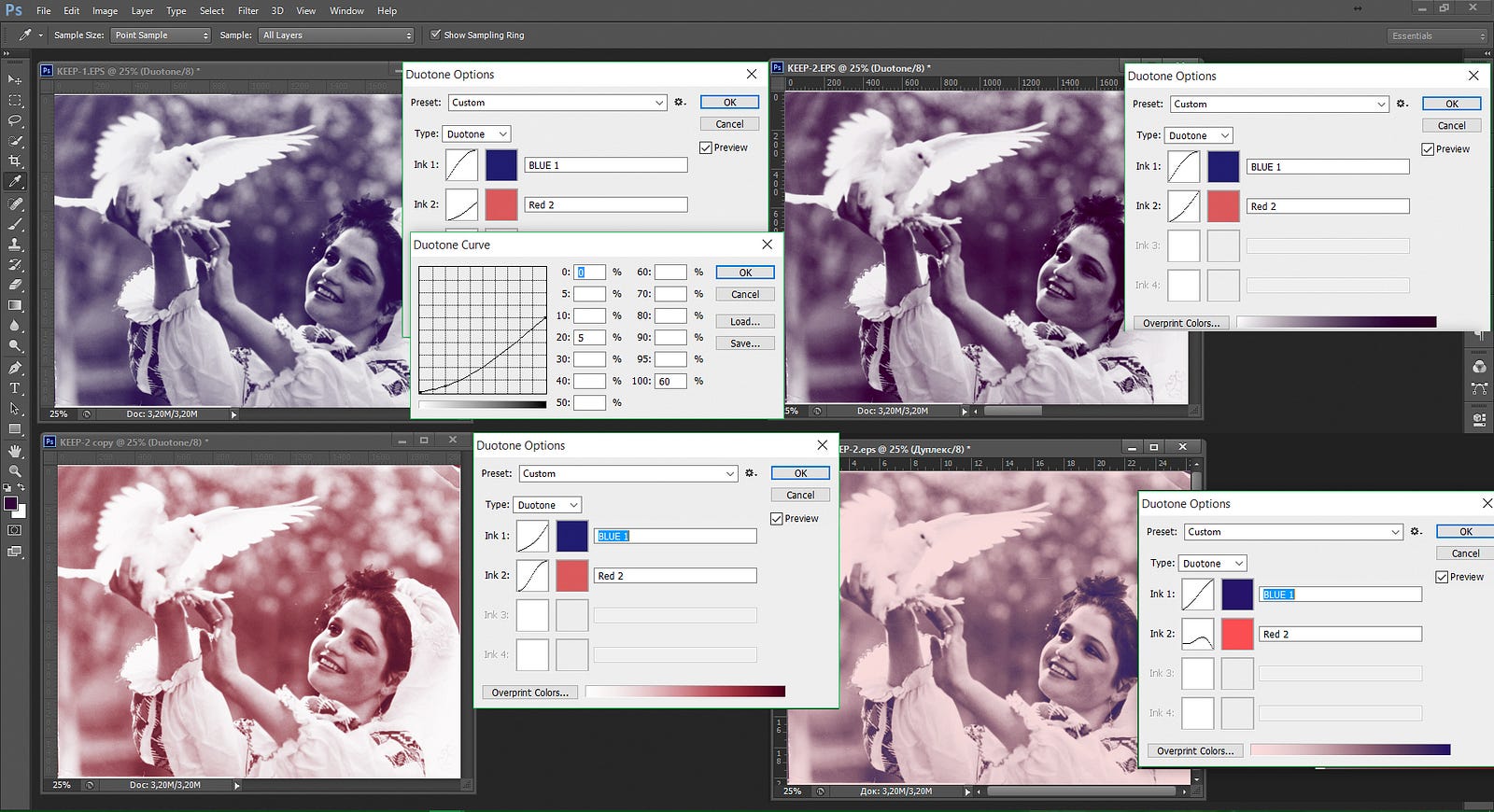 Duotone: Great Design Solutions That Fit Any Budget