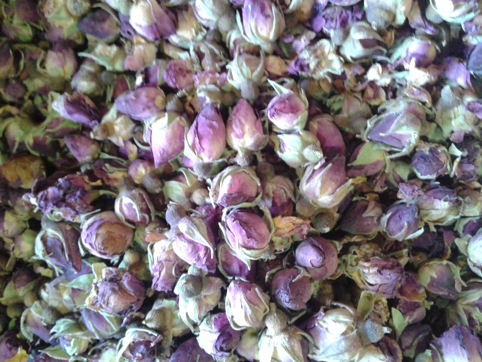 The Syrian Herbal Tea (Zouhorat Shameea). – Invironment – Medium