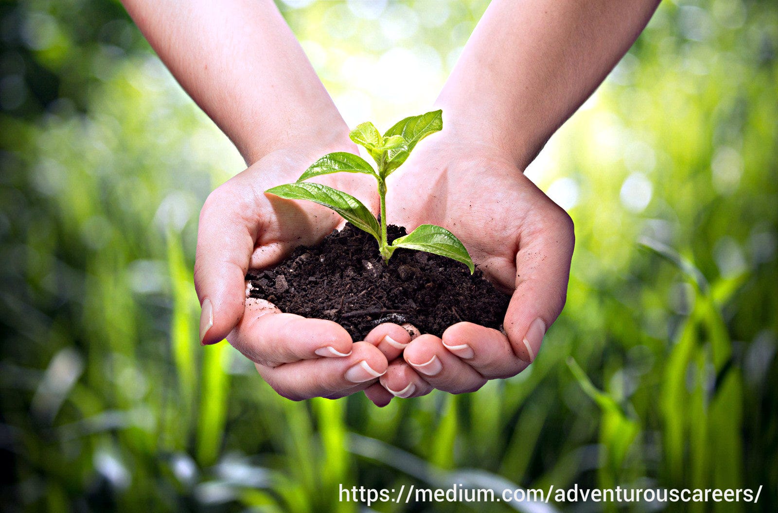 Environmentalist : Adventurous Career Option – adventurouscareers – Medium