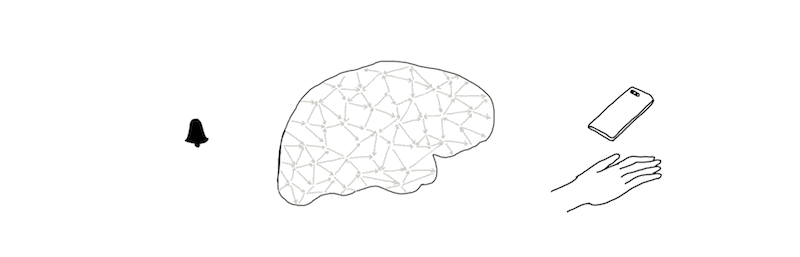 Building the neural pathway : r/gifs