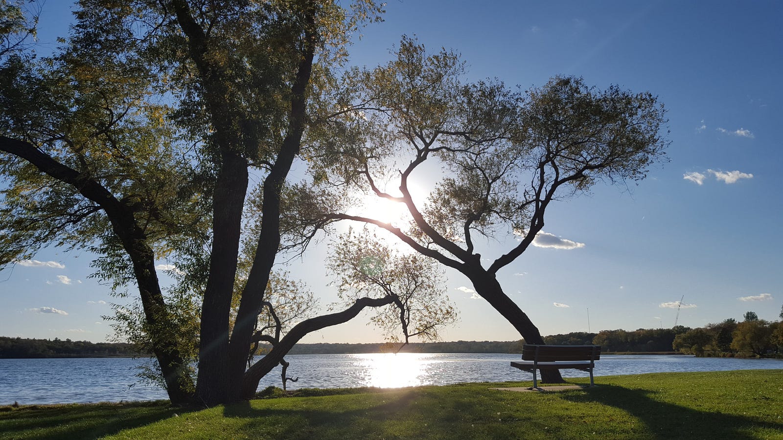 Madison is Now Home to a New Invasive Species: The Jumping Worm