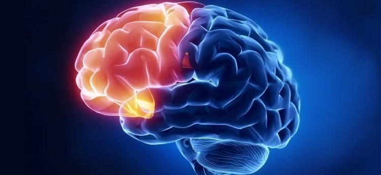 Machine Learning of Human Brain – Towards Data Science