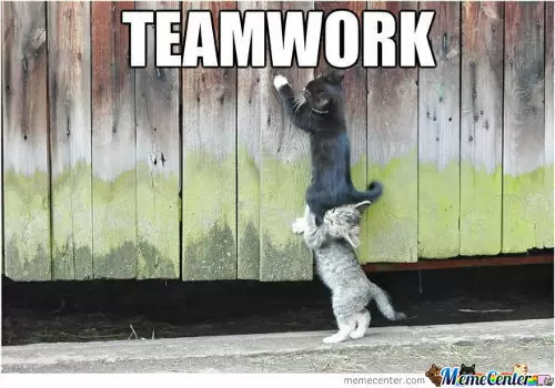 Startup team and memes – jughosta – Medium