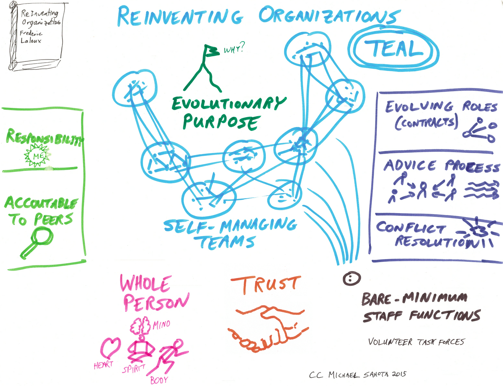 Teal Organizational Structure