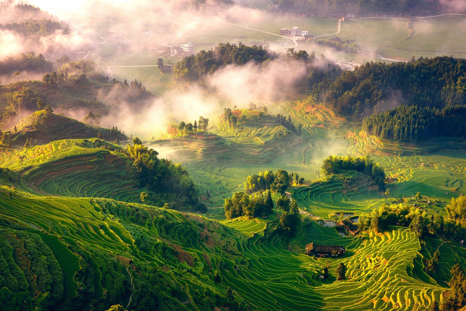 UN designates four Chinese farmlands as agricultural heritage sites