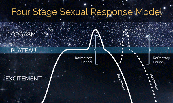 Understanding The Sexual Response Cycle – Kelly McDonnell-Arnold – Medium
