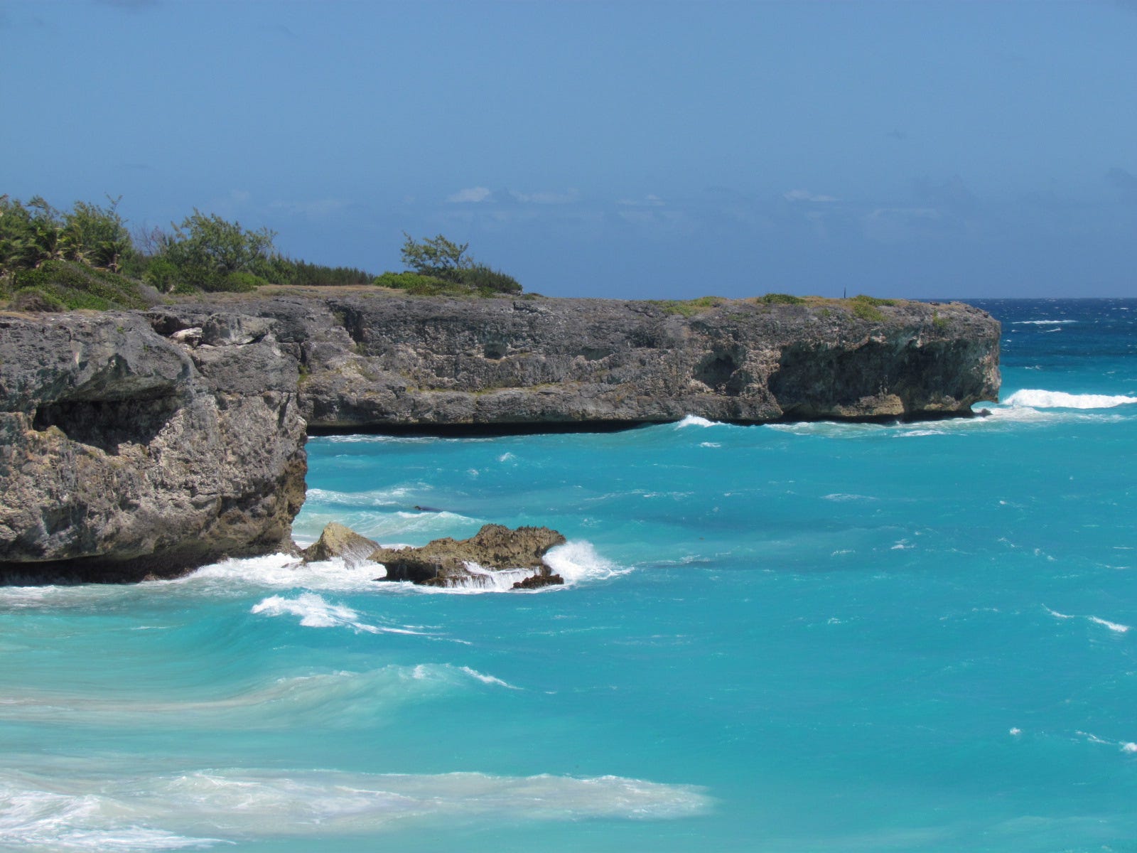 Day 6: An Introduction to Barbados’ Unique Geological History