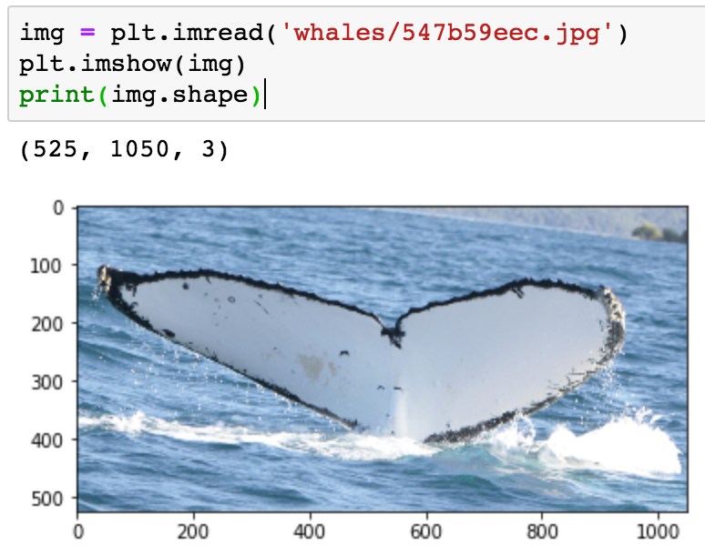 Transform Grayscale Images To RGB Using Python s Matplotlib
