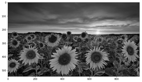 Converting Color Images To Grayscale 2paisay Medium