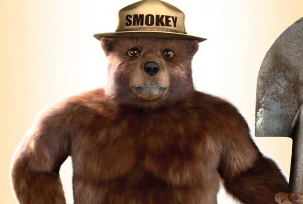 Did Smokey the Bear Cause the Canadian Wildfires? – Homeland Security ...