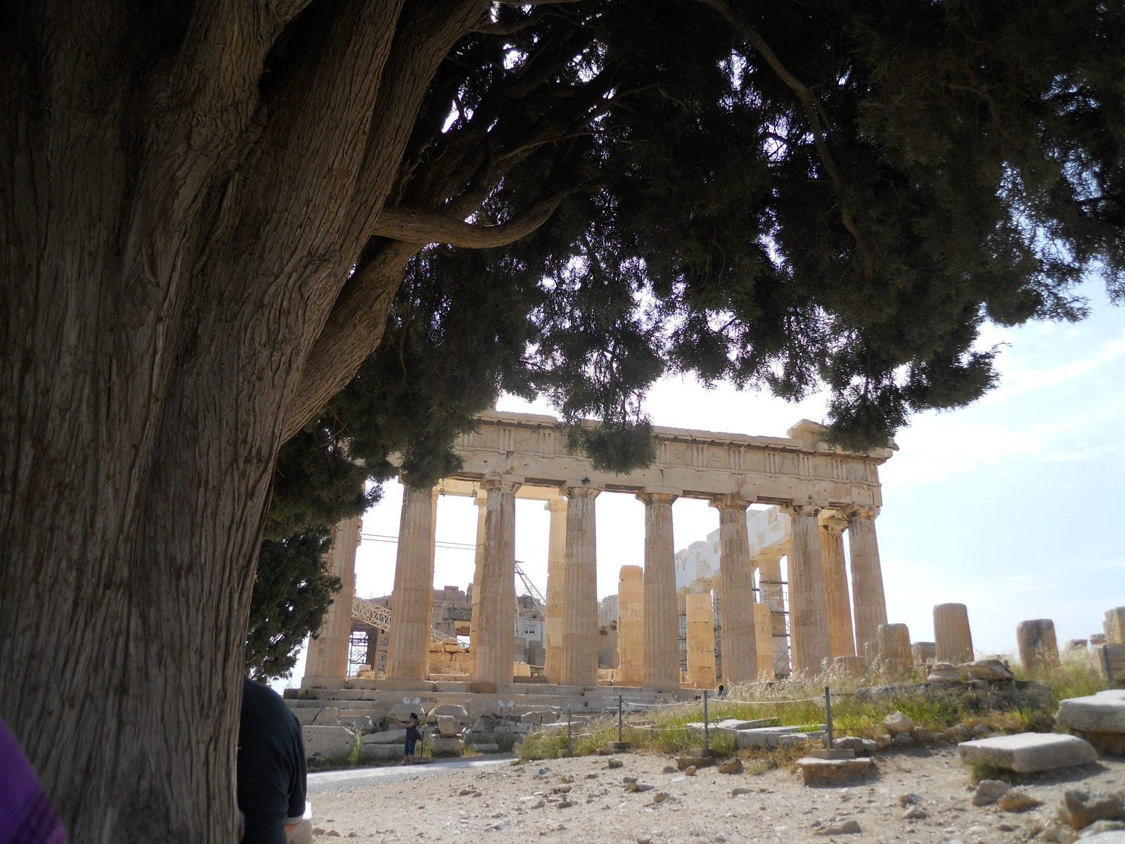 Did you ever wonder what it would be like to live during the Fall of Rome?