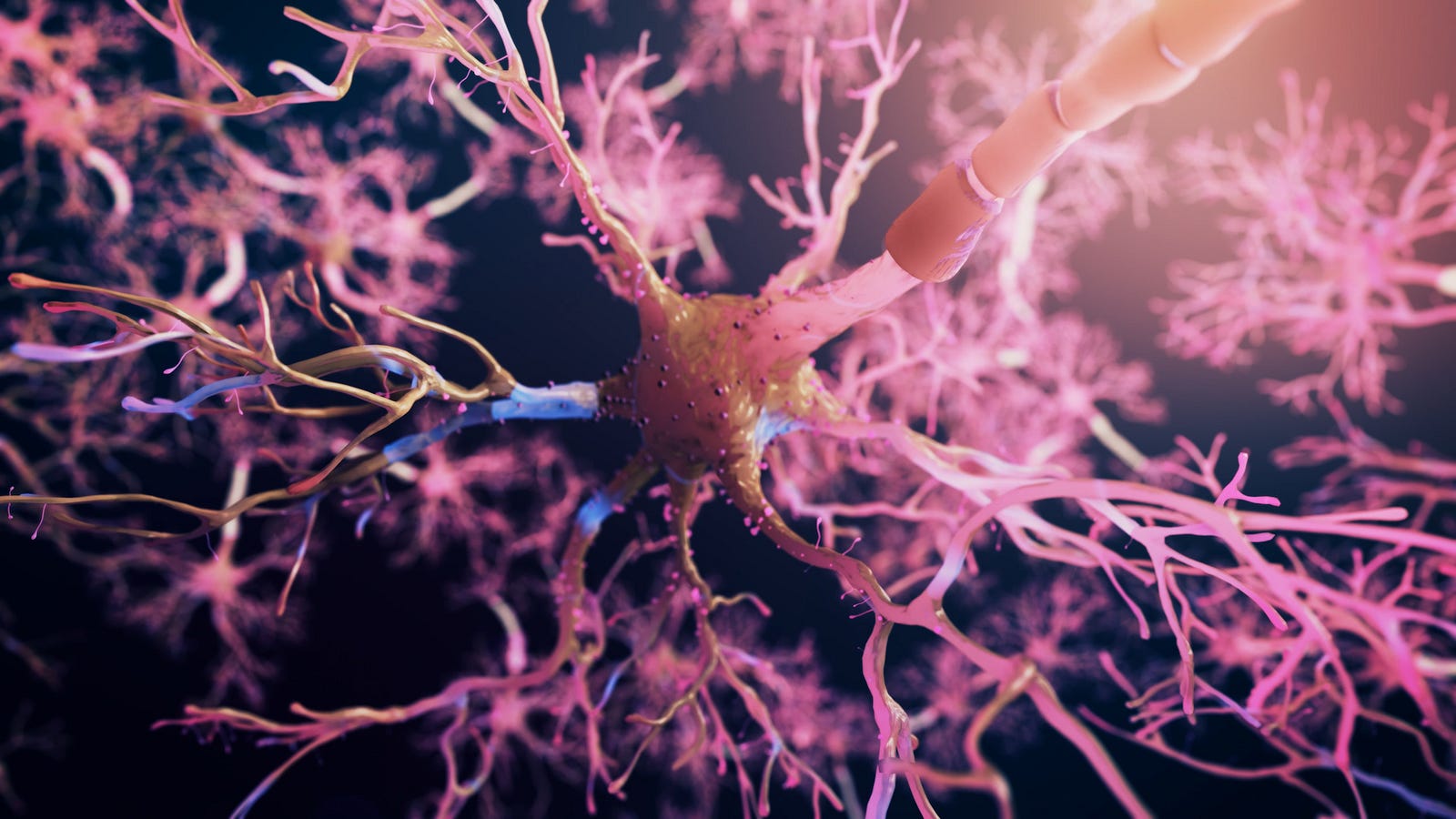 Neurons 3d Hd Digital Blasphemy 3D Wallpaper: Neuron by Ryan Bliss