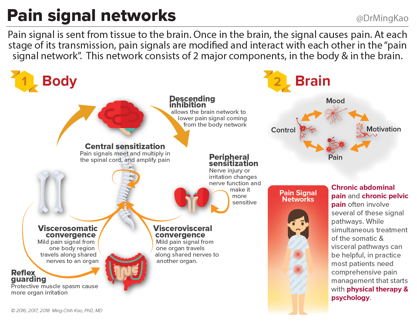 Pain signal networks – Within Normal Limits of Reason – Medium