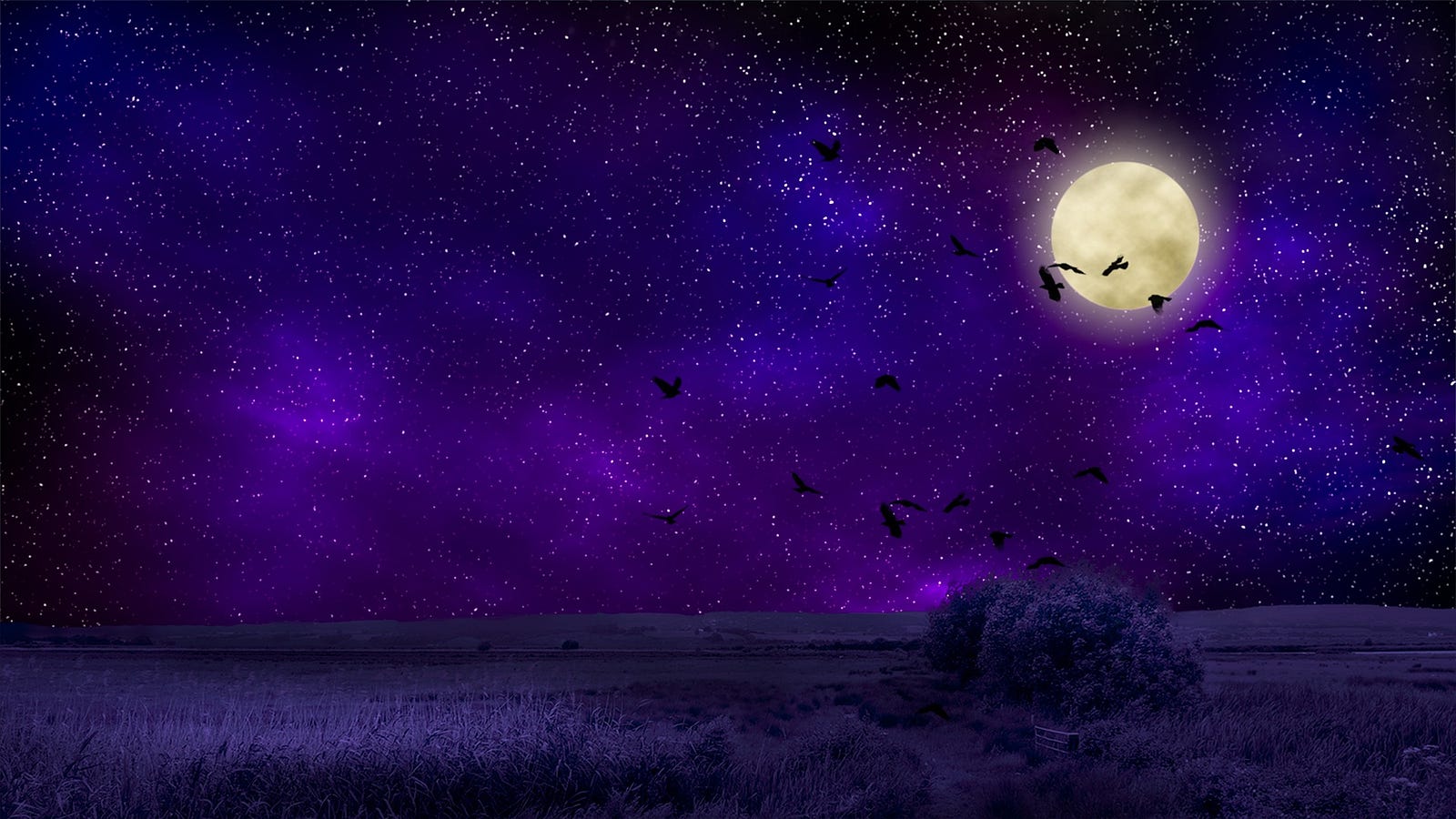 Indigo Moon – The Mad River – Medium