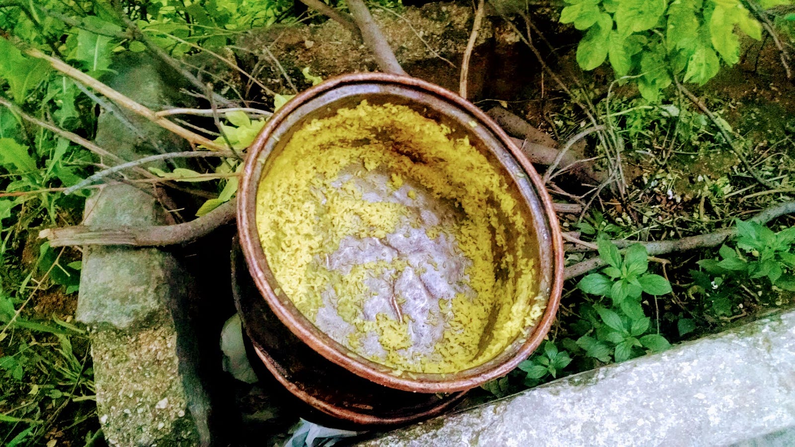 Food: a Bridge Between Cultures + Qidreh, a Traditional Palestinian Dish
