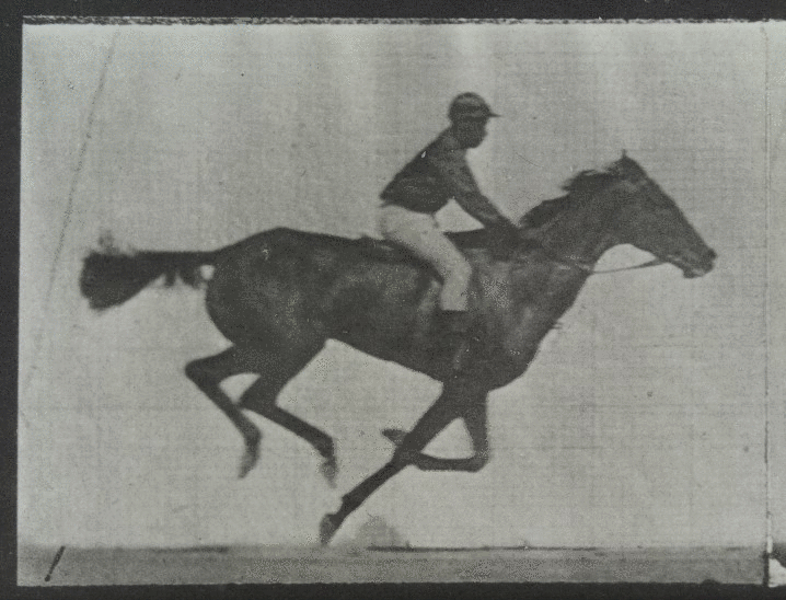 The Science of Movement: Eadweard Muybridge – Europeana – Medium