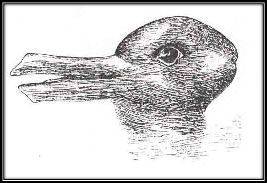 The Rabbit-Duck God – Epicurean Consultant – Medium