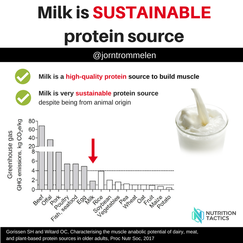 Milk is a sustainable protein source! – Nutrition Tactics – Medium
