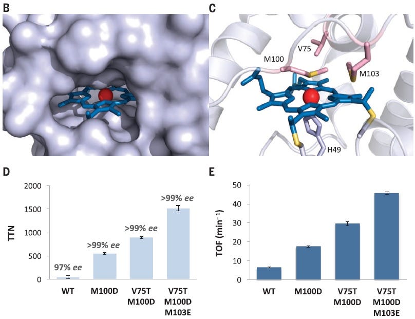 Bringing silicon to life via directed evolution of Cytochrome C