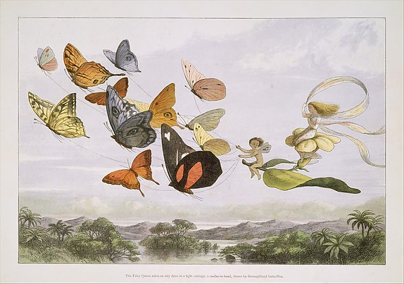10 Fairies in the Public Domain – Creative Commons – Medium