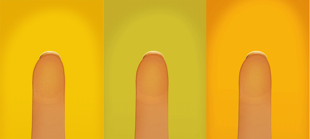 Making The Human Body app more human – Tinybop Labs – Medium