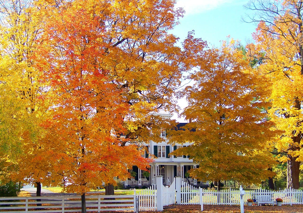 South Carolina by the Seasons: When to Go Where – RentalSpot – Medium