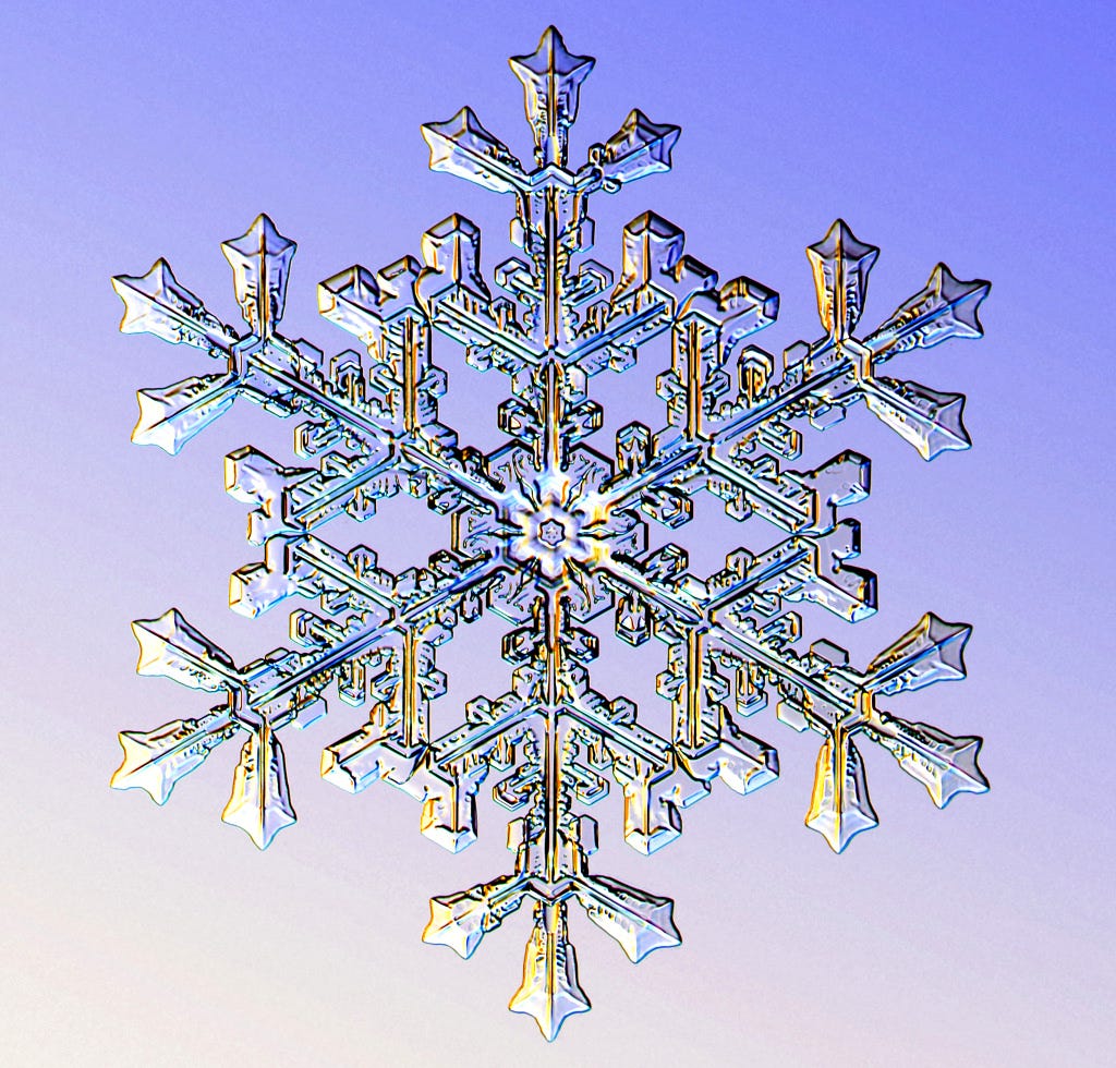 I Am A Snowflake Metaphorical Web Medium