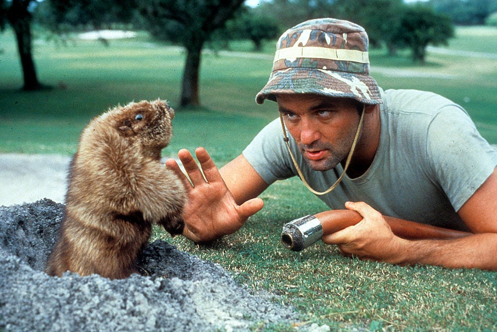 A Cinderella Story: The Top 10 Bill Murray Characters
