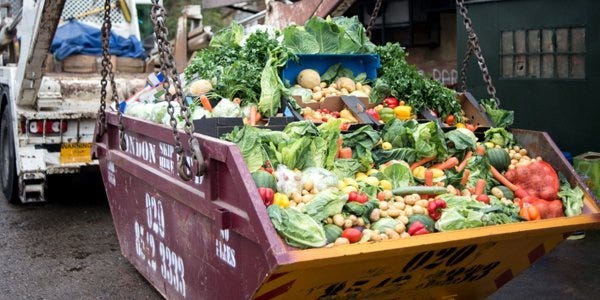 Keep It Fresh — Reducing Food Waste, One Scan At A Time
