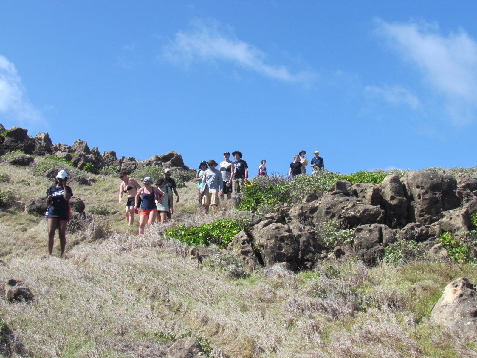 Day 6: An Introduction to Barbados’ Unique Geological History