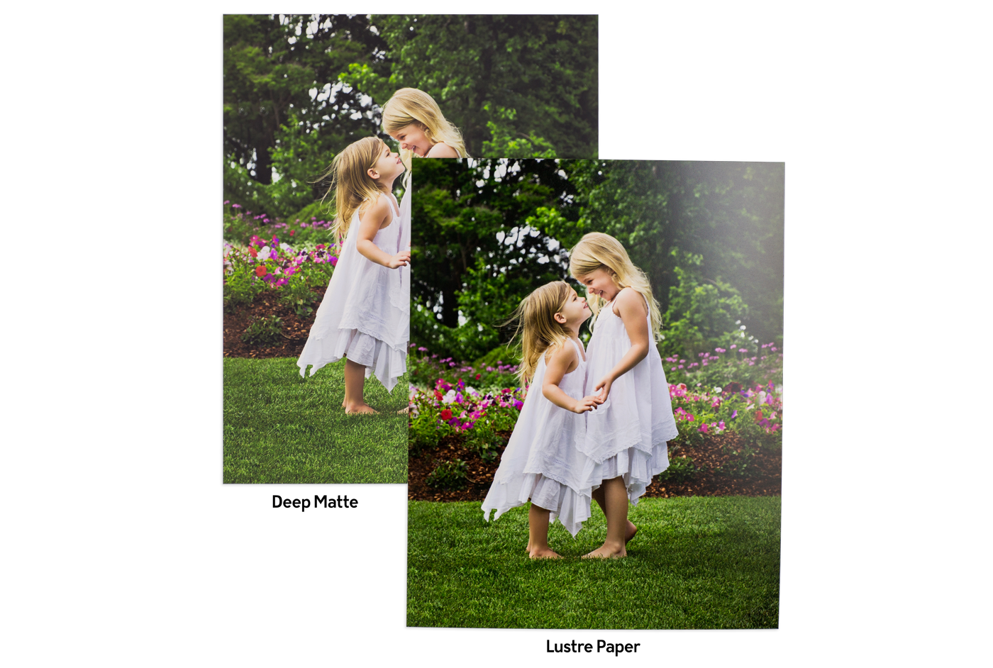 Deep Matte Photo Paper Now Available Print Worthy
