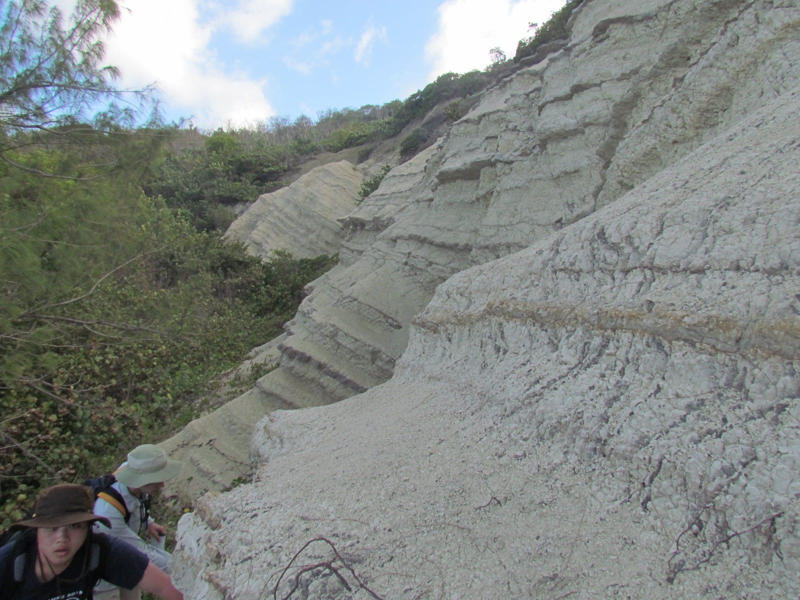 Day 6: An Introduction to Barbados’ Unique Geological History