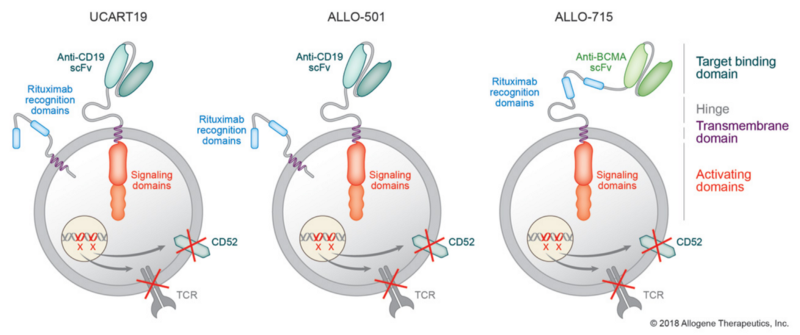 Allogene Therapeutics S-1 Breakdown – Nisarg Patel – Medium
