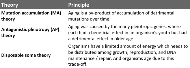 The Life Extension Revolution: Theories of Aging – Predict – Medium