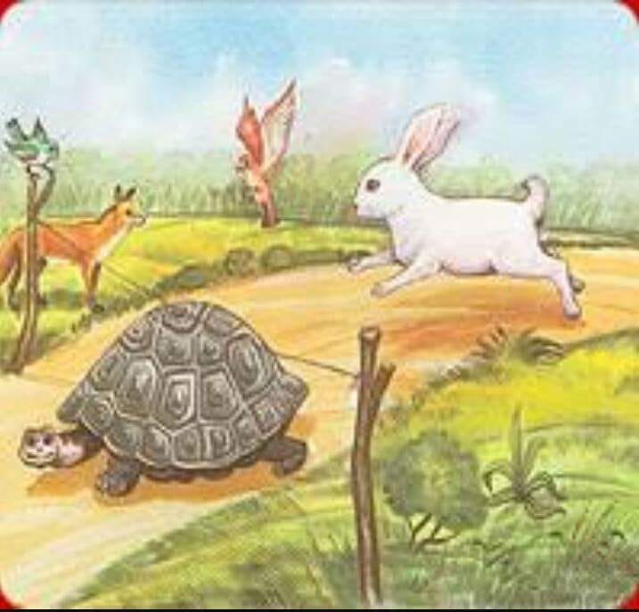 Story of rabbit-tortoise in SANSKRIT…. – Yogesh Sharma – Medium