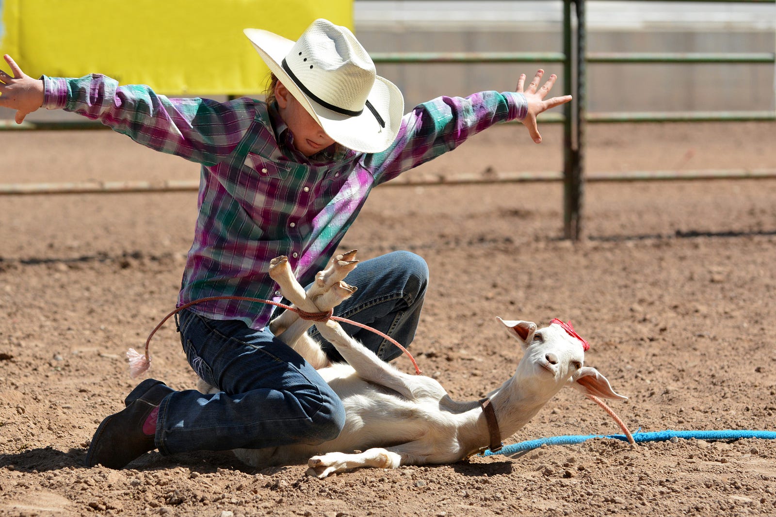 The Five Frustrating Customer Personas in Your Product Demo Goat Rodeo ...