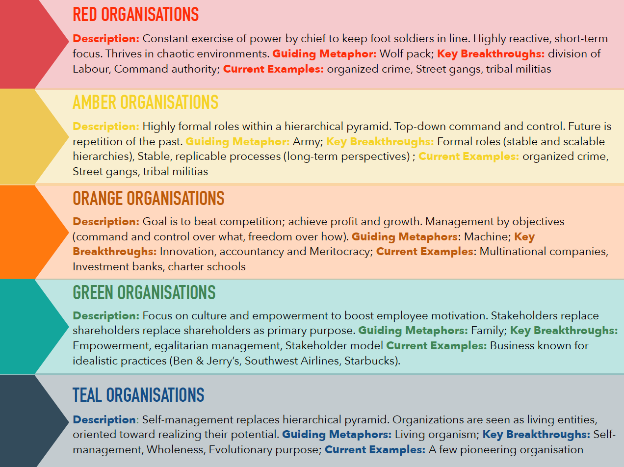 2. Evolutionary Context of Organisational Structures