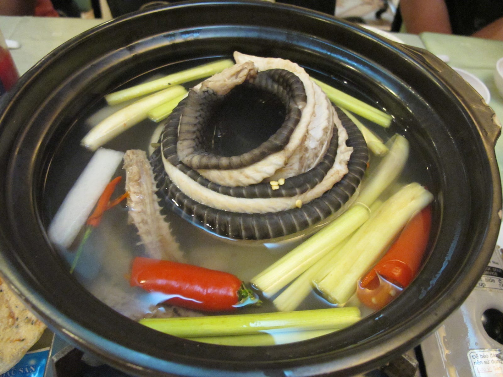 How to eat a live cobra snakes heart – Alimo – Medium