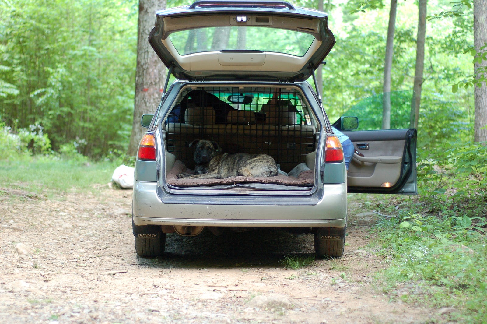 Camping at Rapidan – John Franklin – Medium