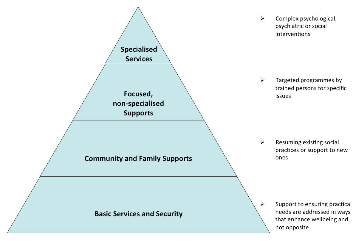 The World Humanitarian Summit Needs Mental Health & Psychosocial ...