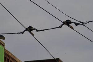 Trolley Poles – You Need to Know These Things – Medium