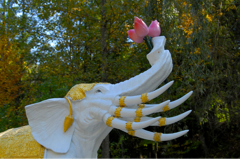 The True Meaning Behind Elephant Decorations – Cara Lucia – Medium