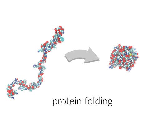 Welcome into the fold – ProteinQure – Medium