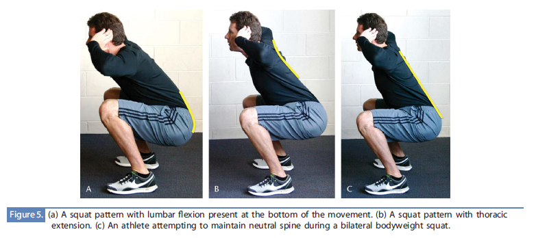 Unlearn in Order to Learn — The Squat – Velohealth
