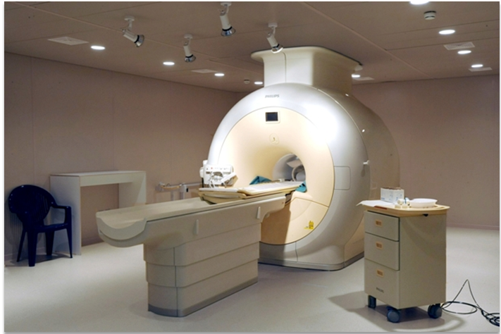 What the fMRI? – MIT Scope