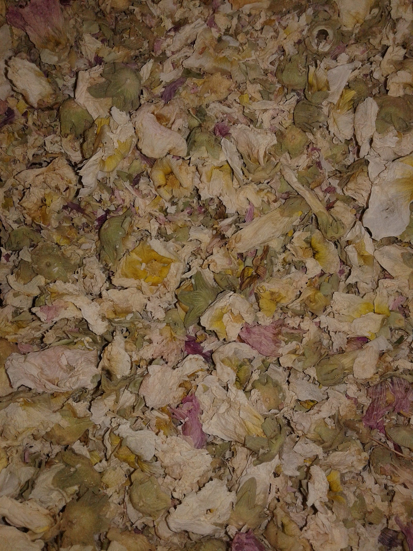 The Syrian Herbal Tea (Zouhorat Shameea). – Invironment – Medium