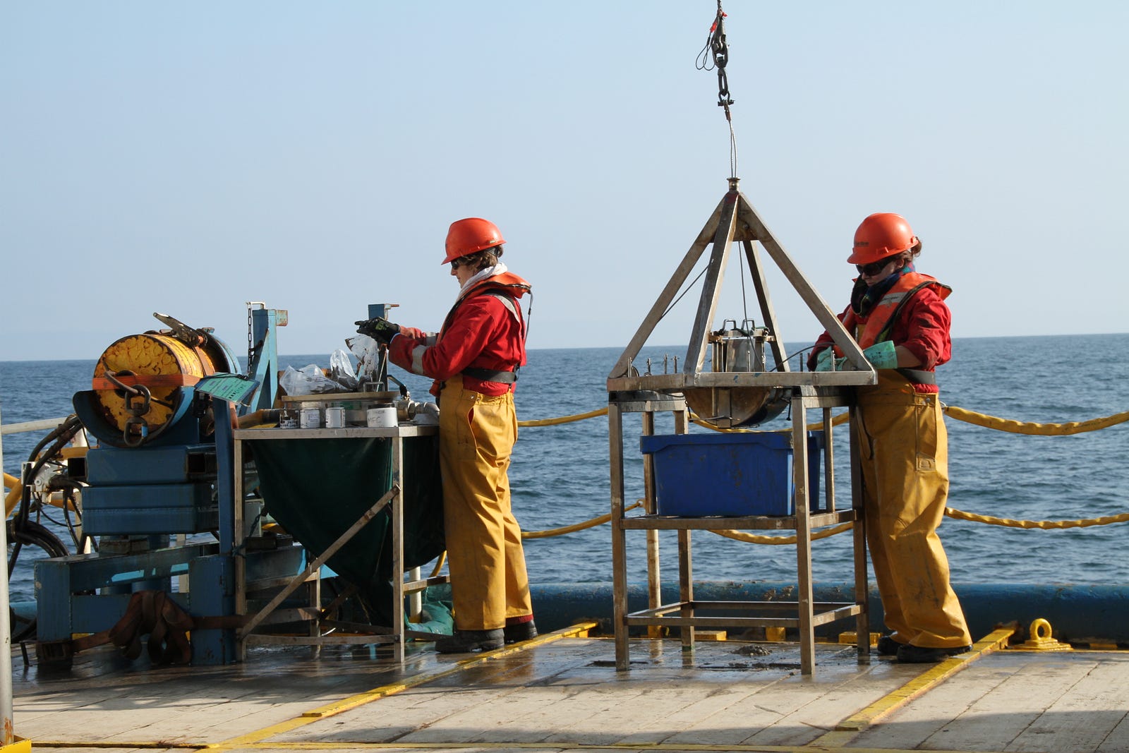 The marine biologist who found a new life on dry land